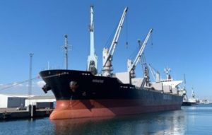 Union Bulk CEO Bonderup steps down – AL-SINDBAD Navigation